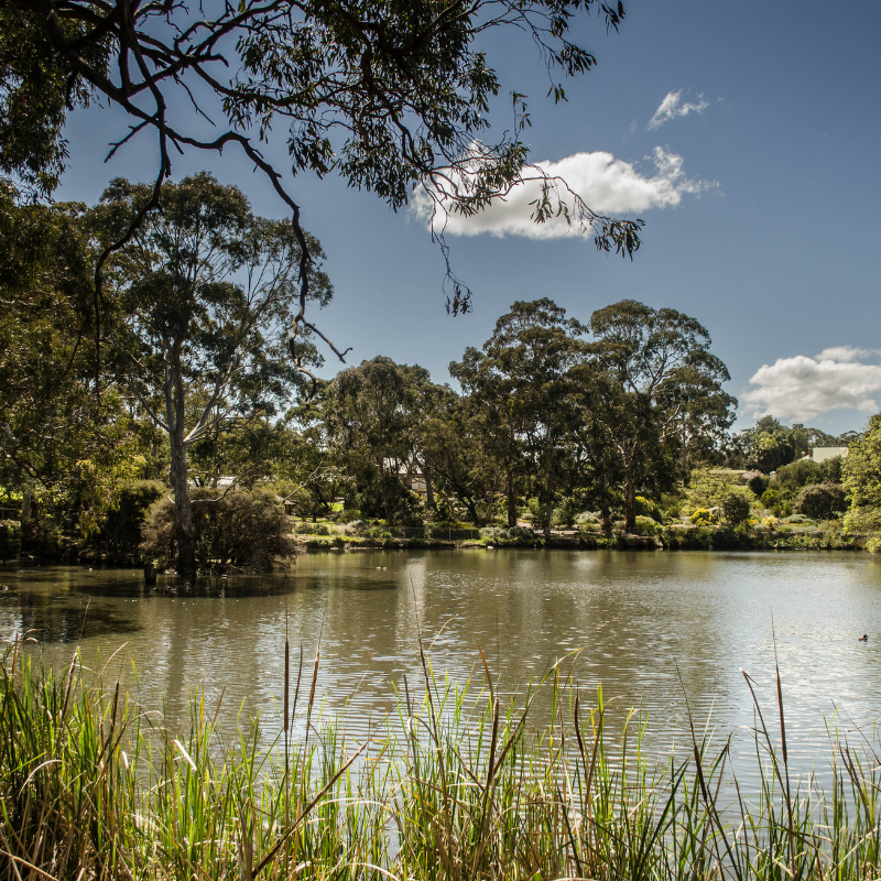 Adelaide & Surrounds | Australian Garden Calendar